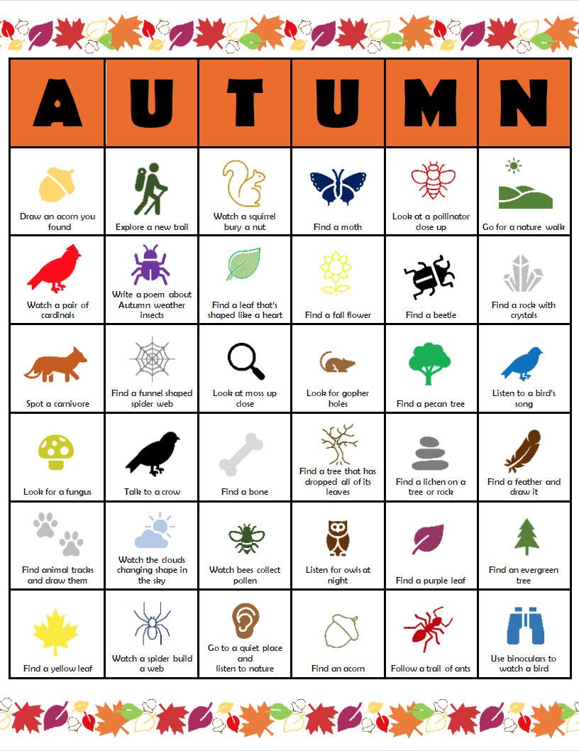New Downloadable Activities for Fall! – Oklahoma's BioDiversity ...